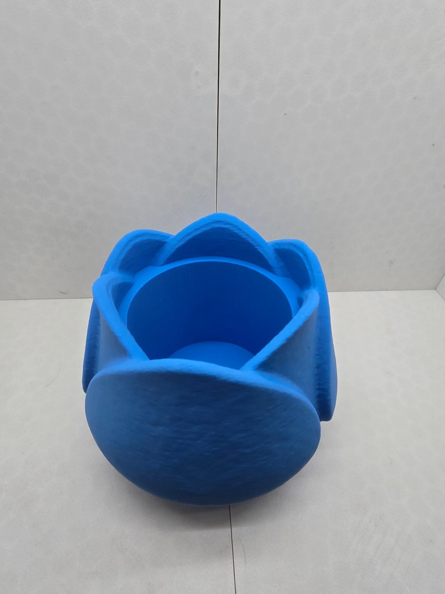 Tulip Container 3D Printed – Erratically Eccentric Creations